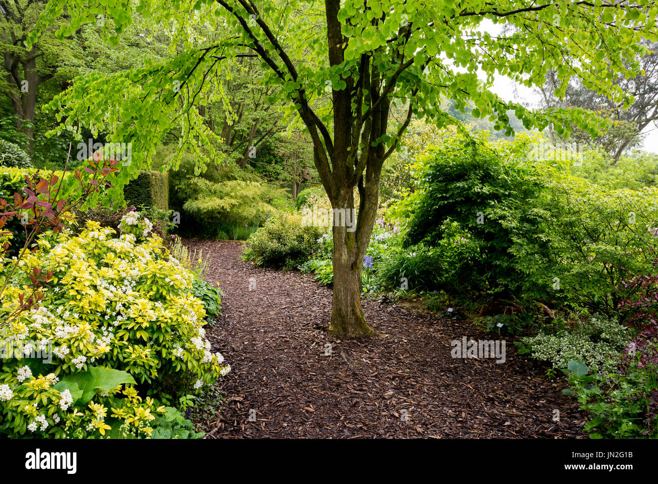 A woodland walk in Barnsdale Gardens where the late Geoff Hamilton ...