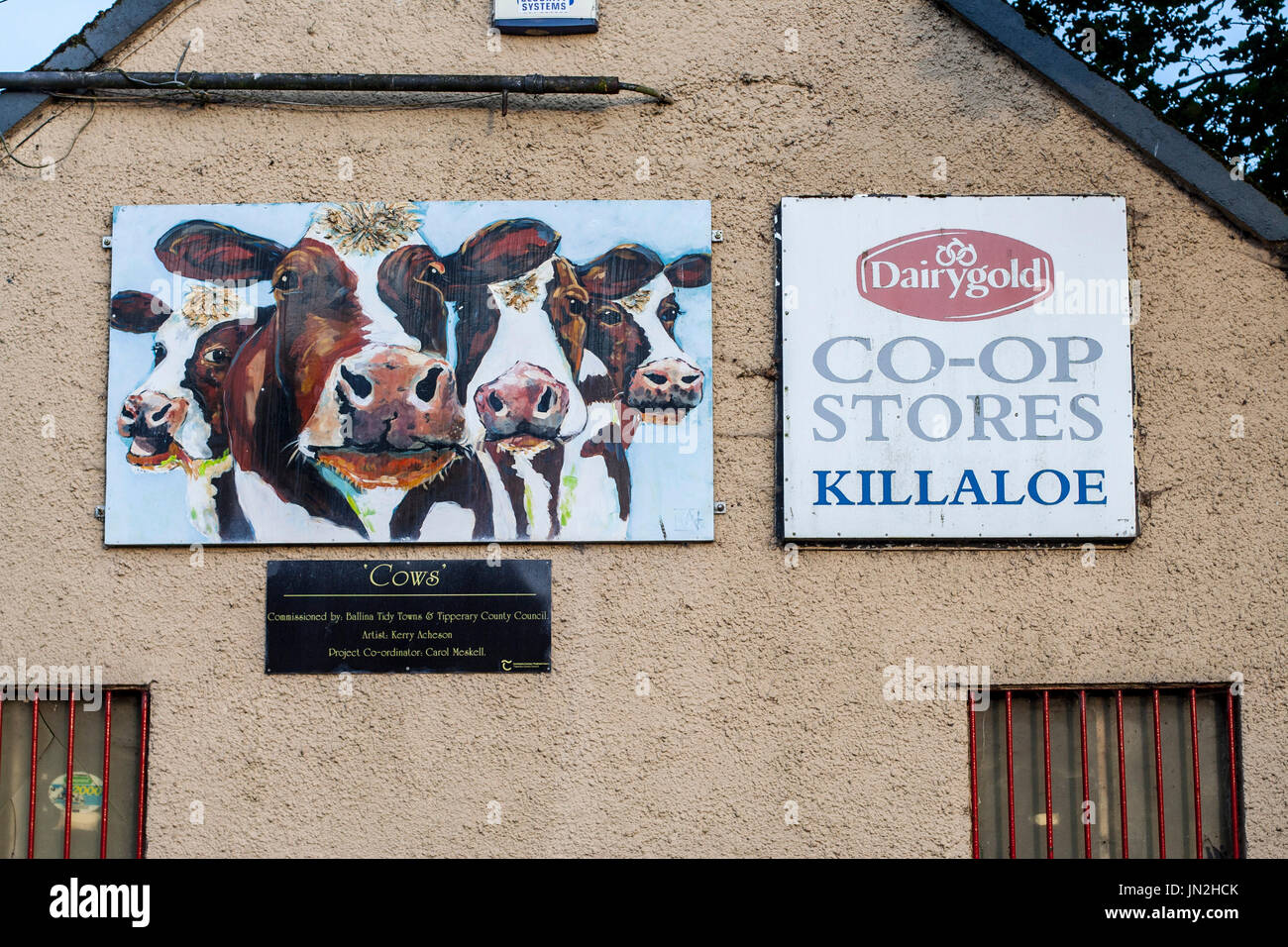 Killaloe Street Signs in Clare, Ireland Stock Photo - Alamy