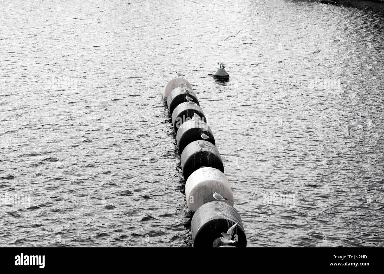 The shannon line hi-res stock photography and images - Alamy