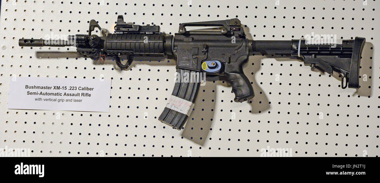 A Bushmaster XM-15 .223-Caliber Semi-Automatic Assault Rifle with ...