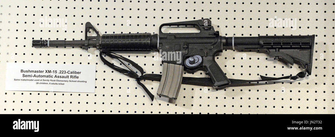 Bushmaster 223 Caliber Rifle