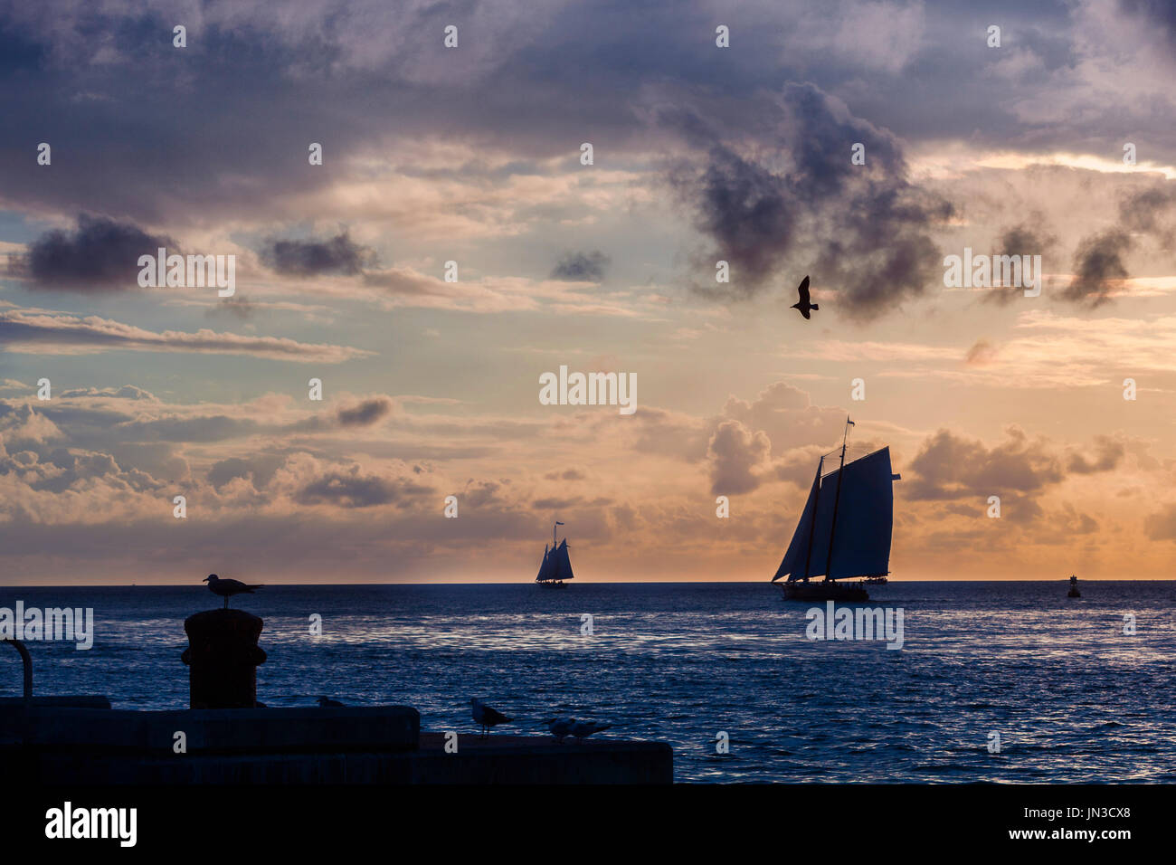 Ocean sunset sailing hi-res stock photography and images - Alamy
