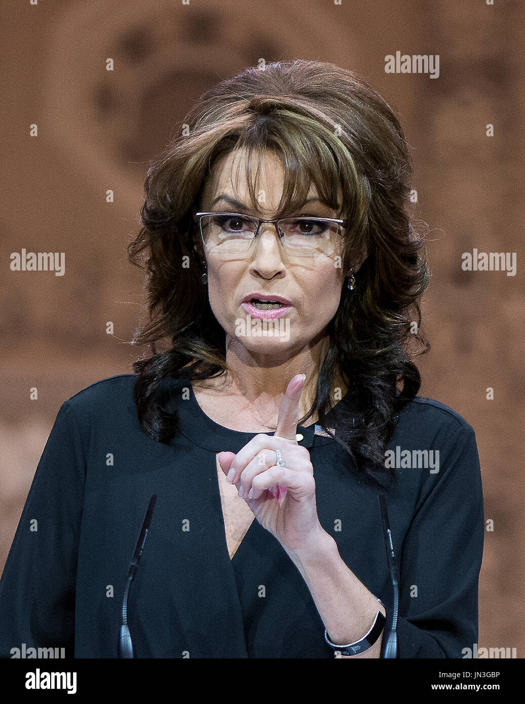 Former Governor Sarah Palin (Republican of Alaska) speaks at the ...