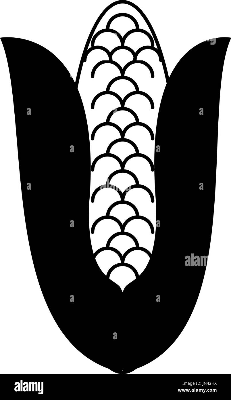 Oil and corn Black and White Stock Photos & Images - Alamy