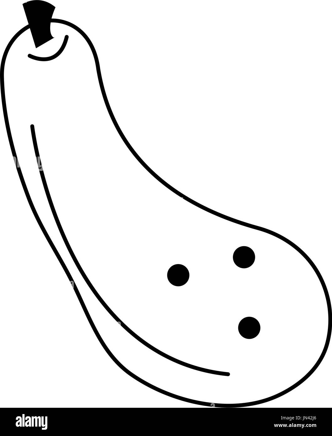 Bio zucchini Stock Vector Images - Alamy