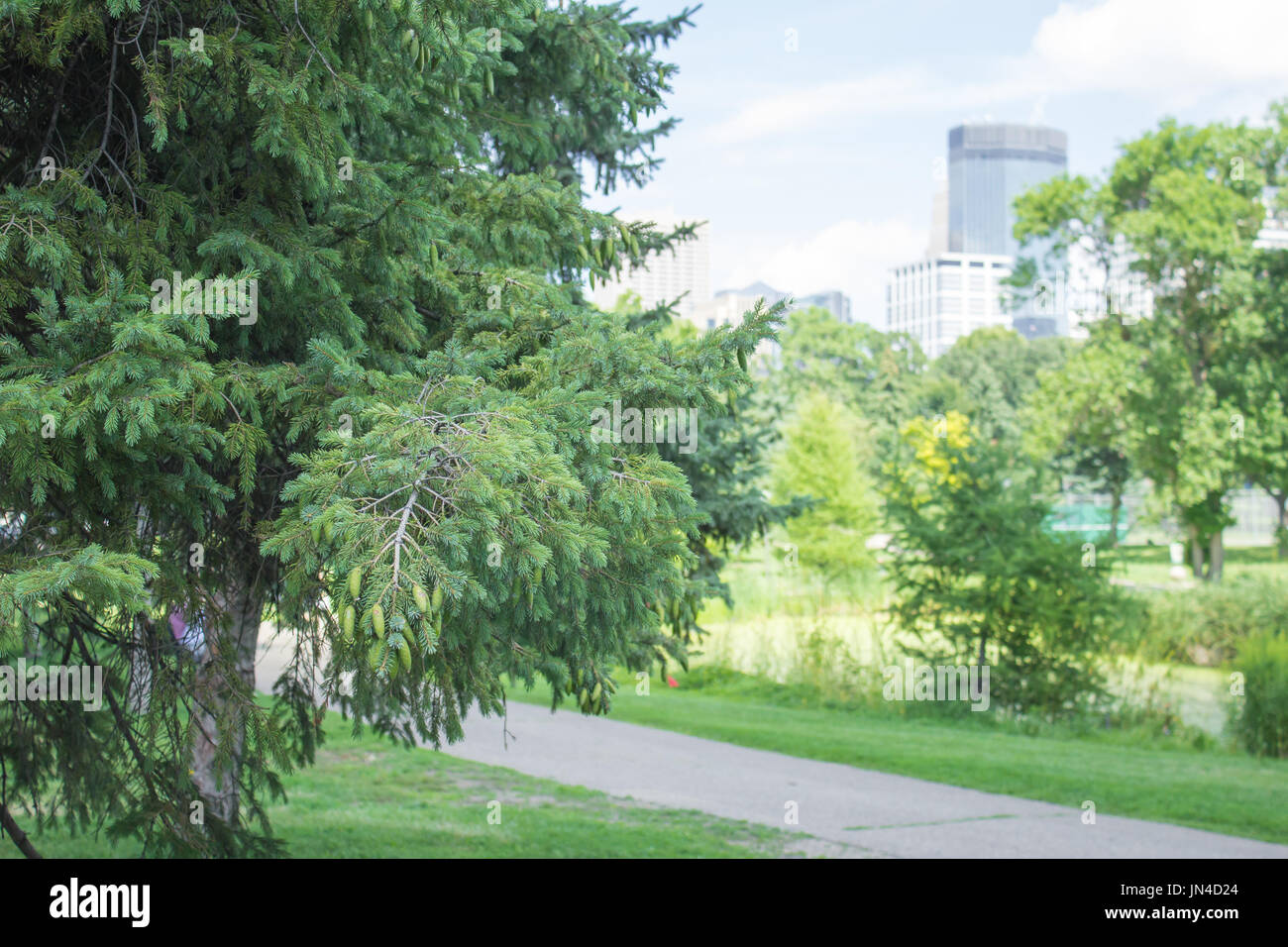 Trees at the park Stock Photo - Alamy