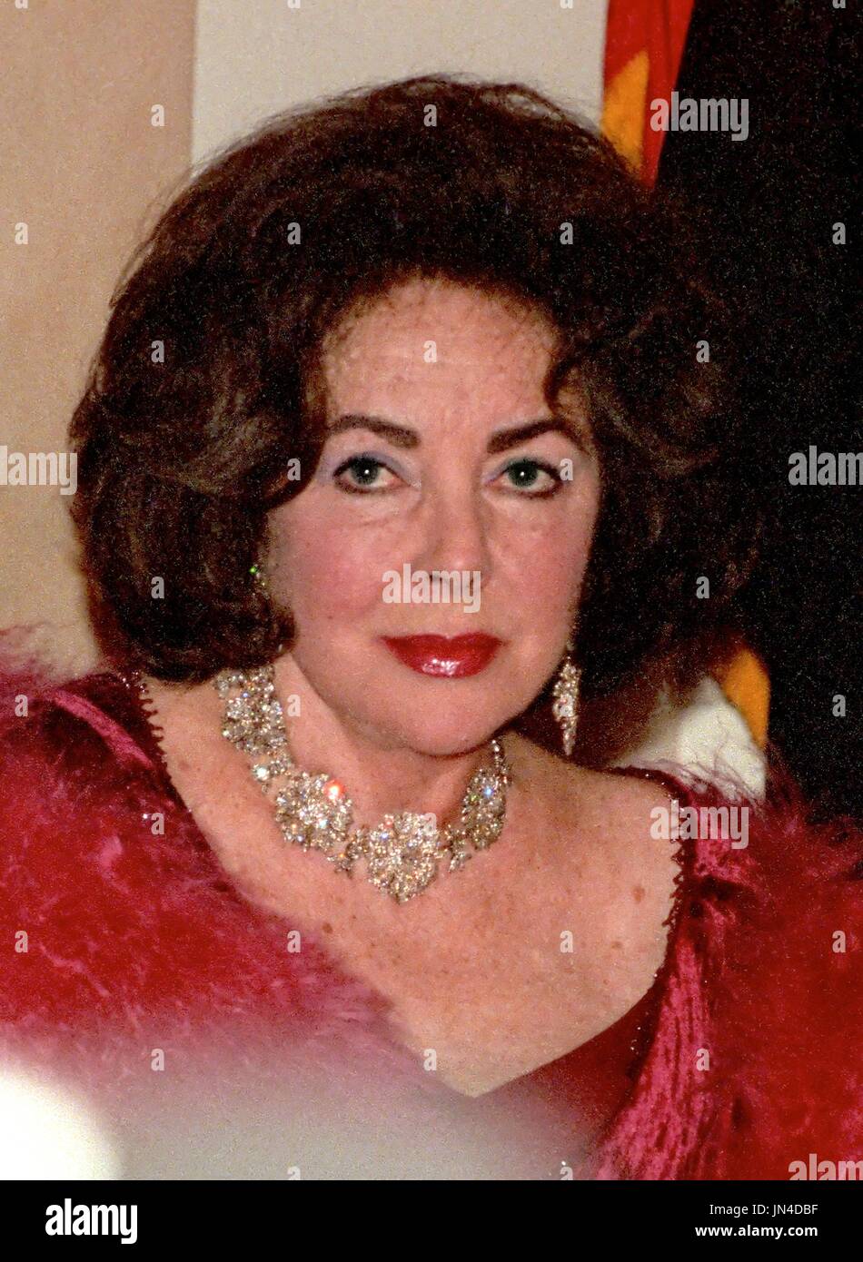 Elizabeth Taylor waits in the receiving line at the Creator' Dinner at ...