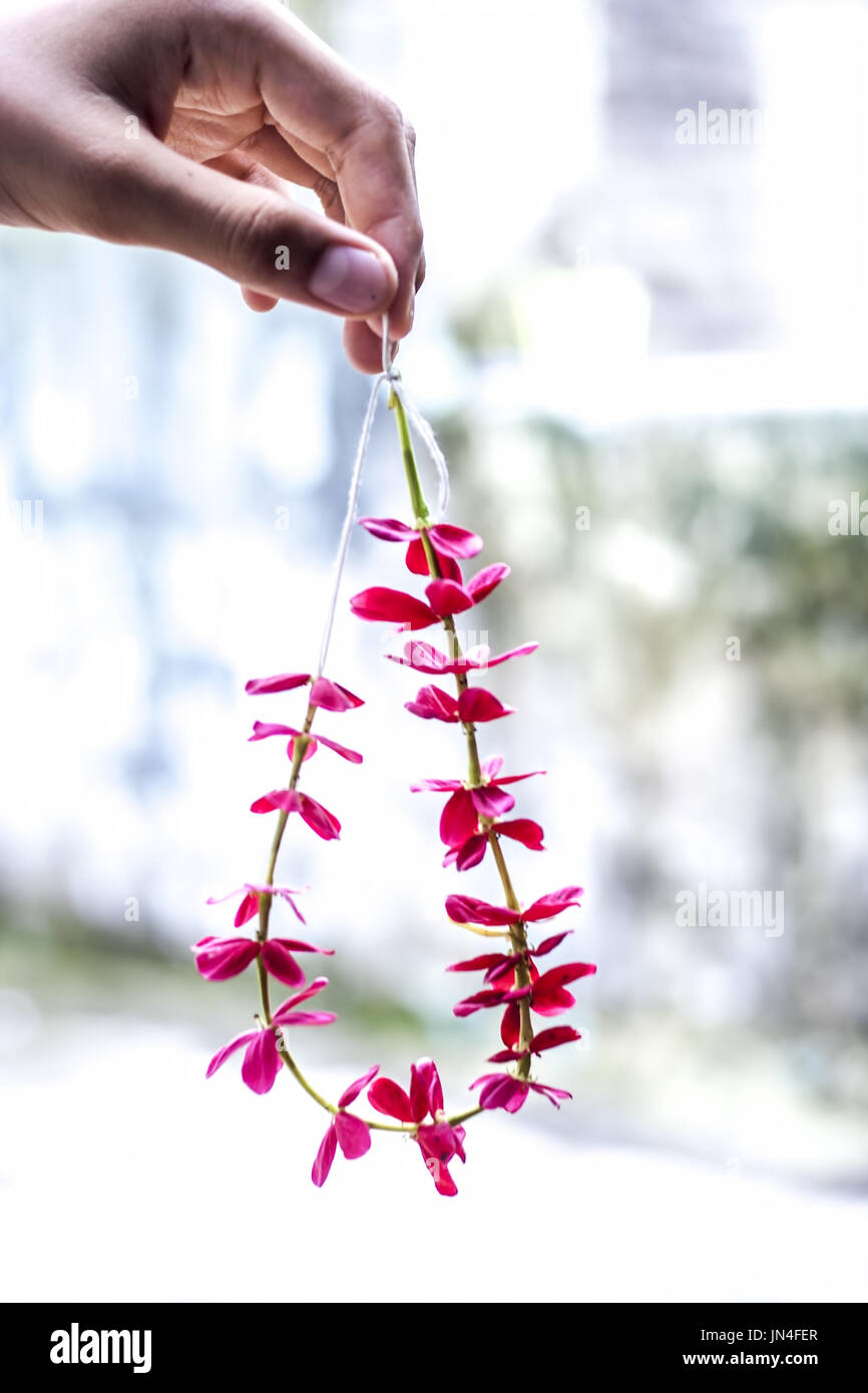 human hand holding garland of flower Stock Photo - Alamy