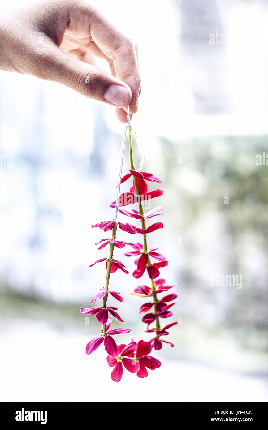 Human hand holding garland of flower hi-res stock photography and ...