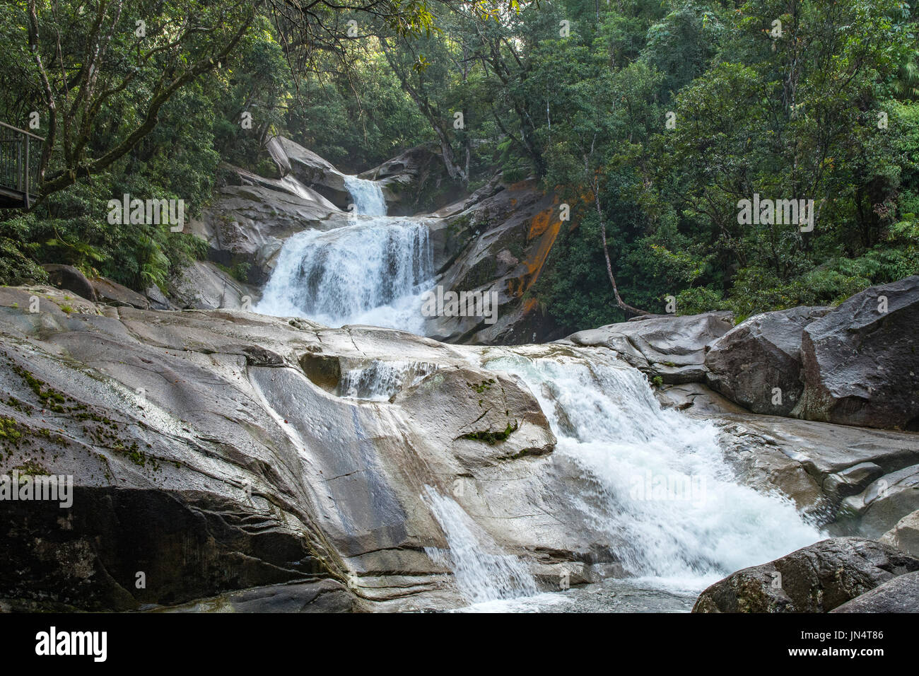 Josephine Falls, Wooroonooran National Park, near Innisfail, Queensland ...