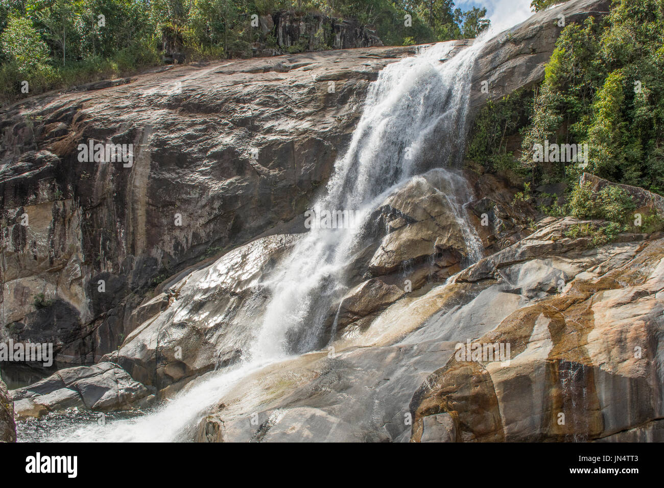 Cardwell hi-res stock photography and images - Alamy