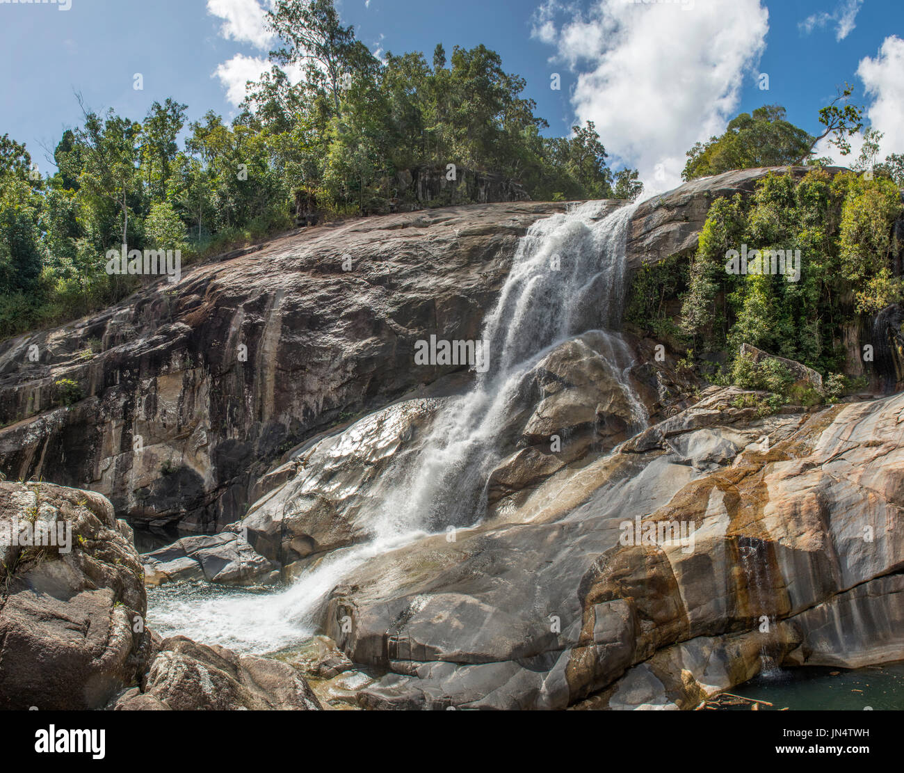 Girramay national park hi-res stock photography and images - Alamy