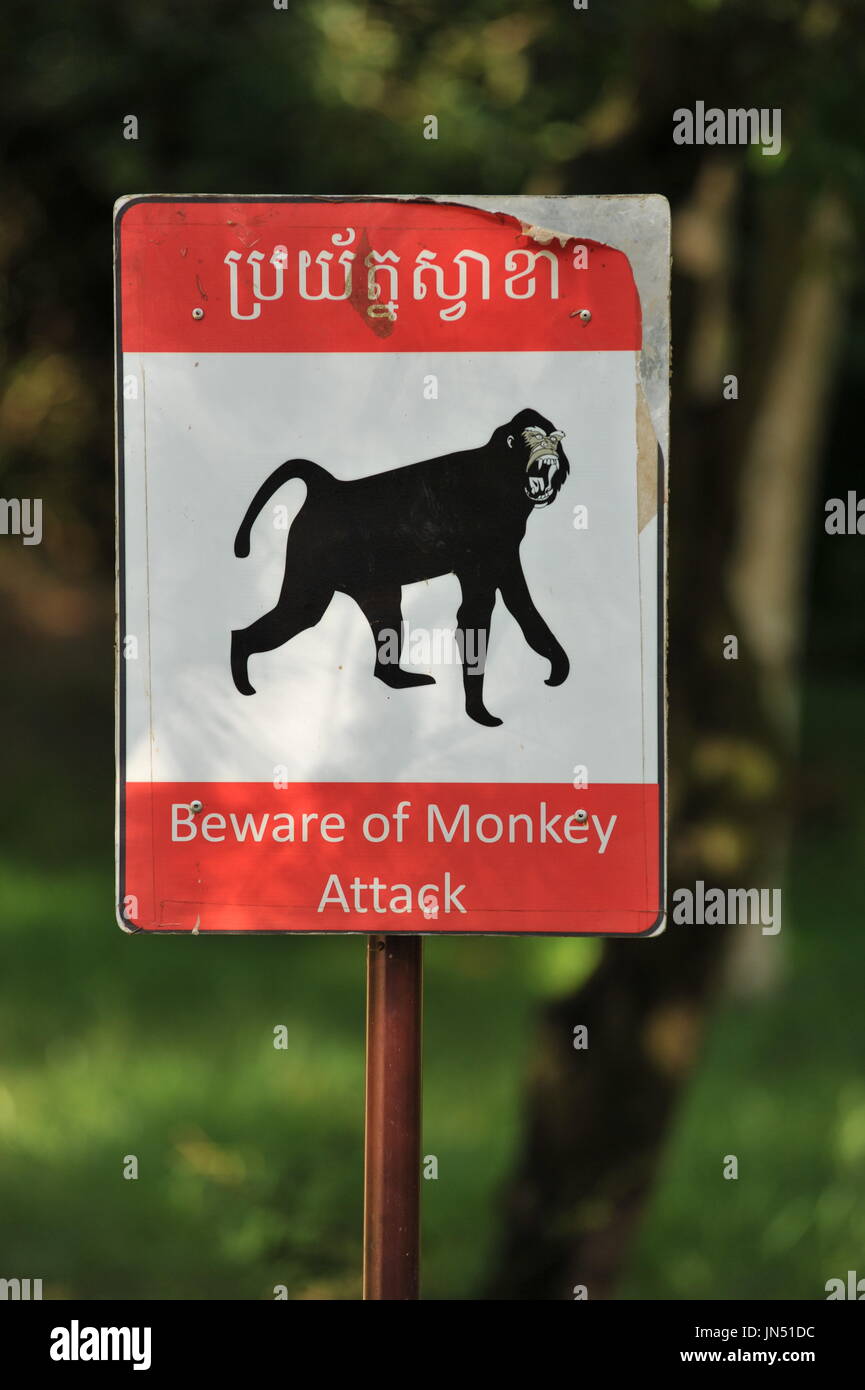 Bilingual "beware of monkey attack" sign, Angkor Wat, Siem Reap ...