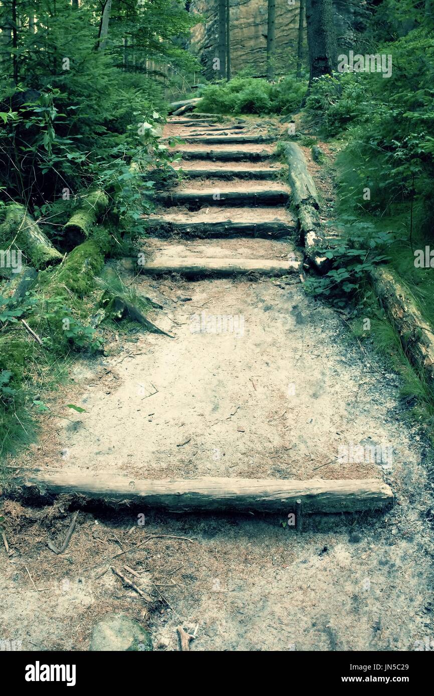 Old wooden stairs in overgrown forest garden, tourist footpath. Steps ...