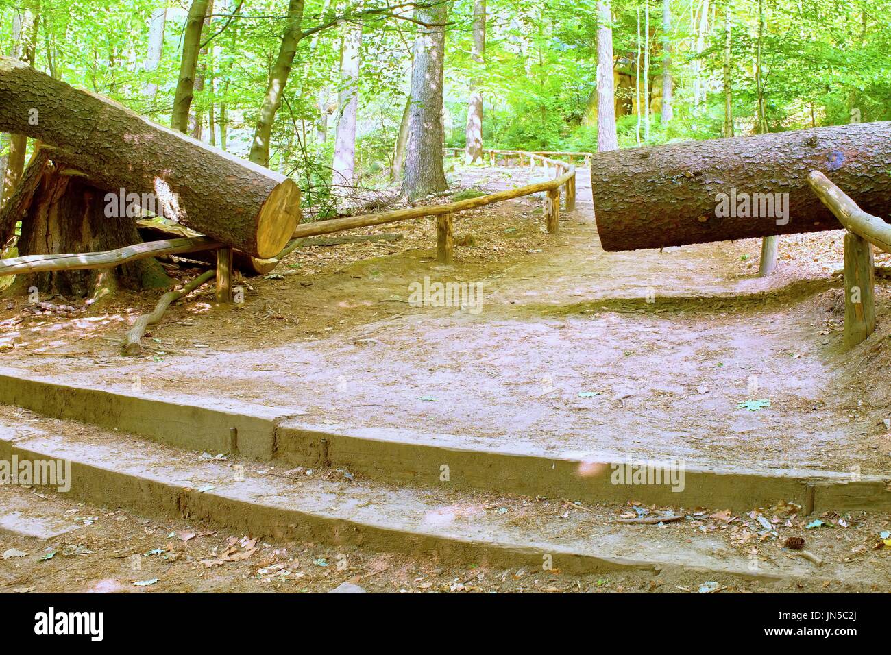 Big tree fallen down to the little path in spring forest park Stock ...