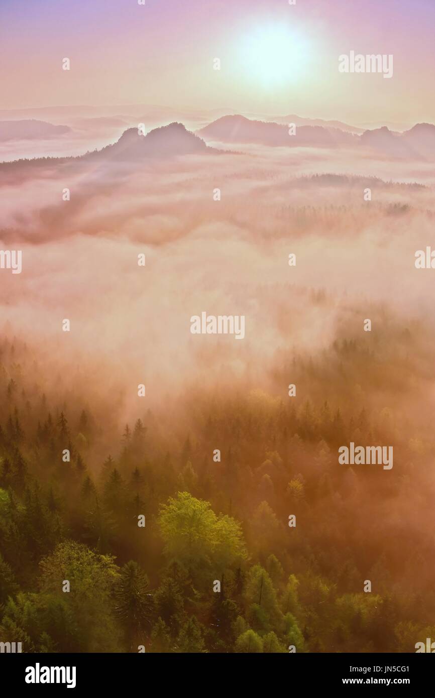 Red daybreak. Misty daybreak in a beautiful hills. Peaks of hills are ...