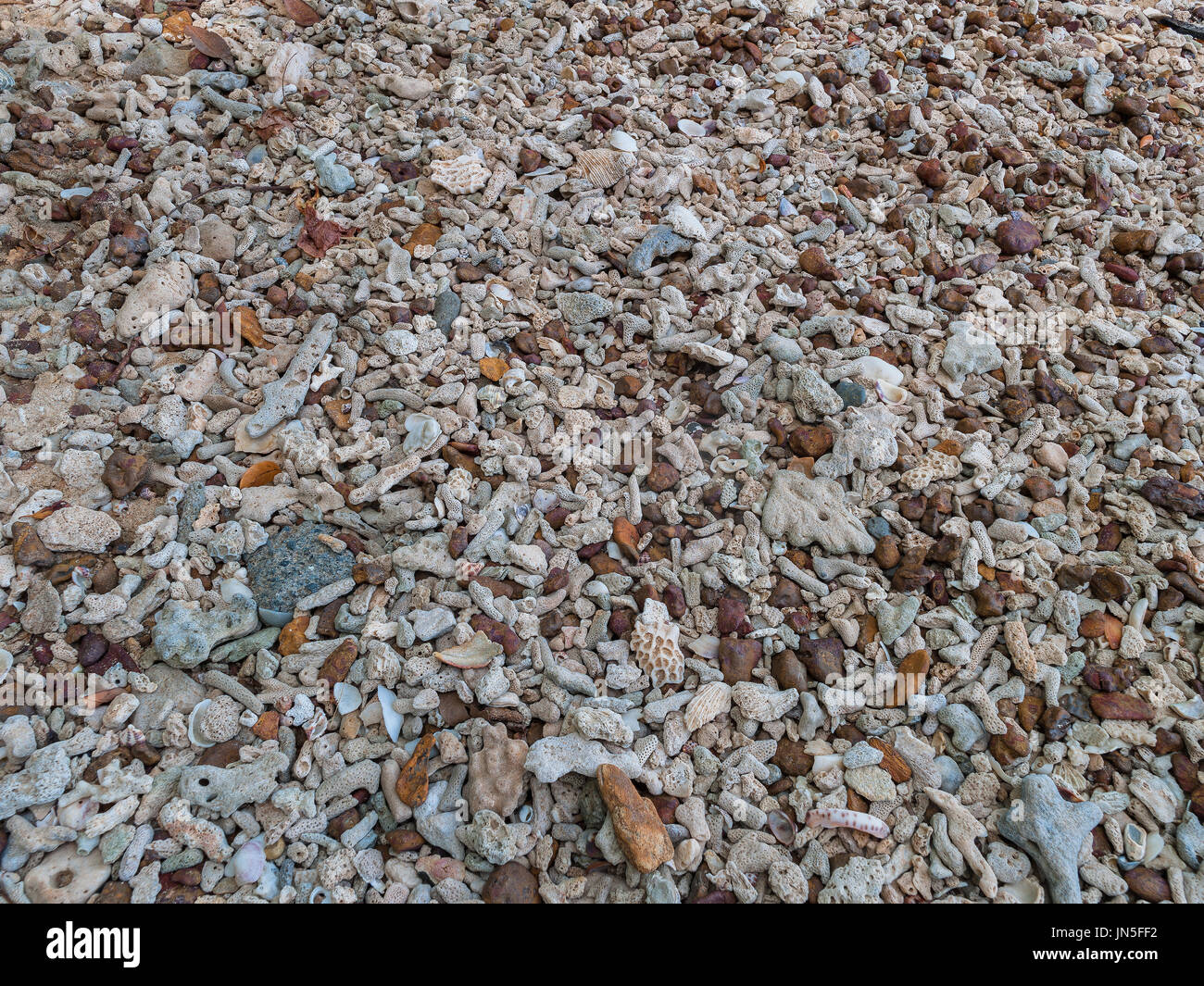 the art of element of nature tropical sea beach Stock Photo - Alamy