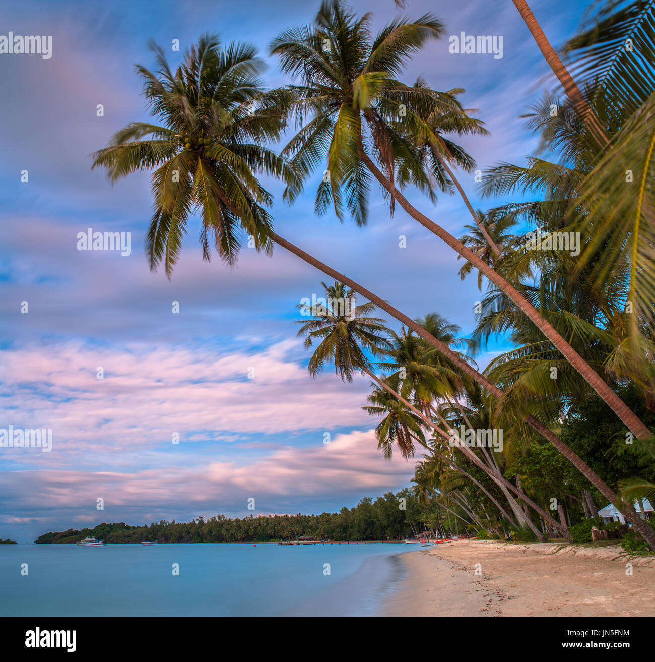 Asian sky dive hi-res stock photography and images - Alamy