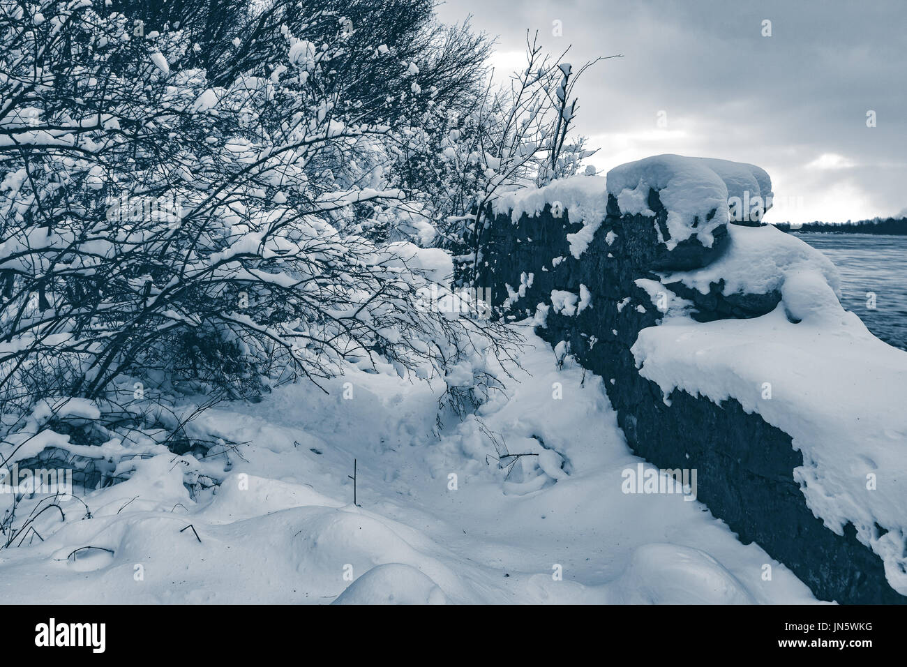Cold winter snowy landscape at middle of the day. Monochrome Stock ...