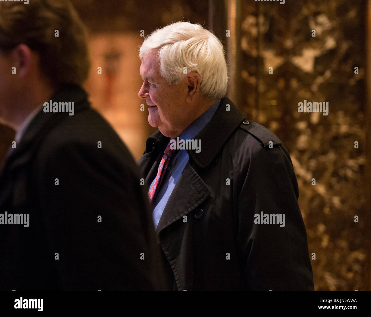 Political commentator and Former Speaker of the United States House of ...