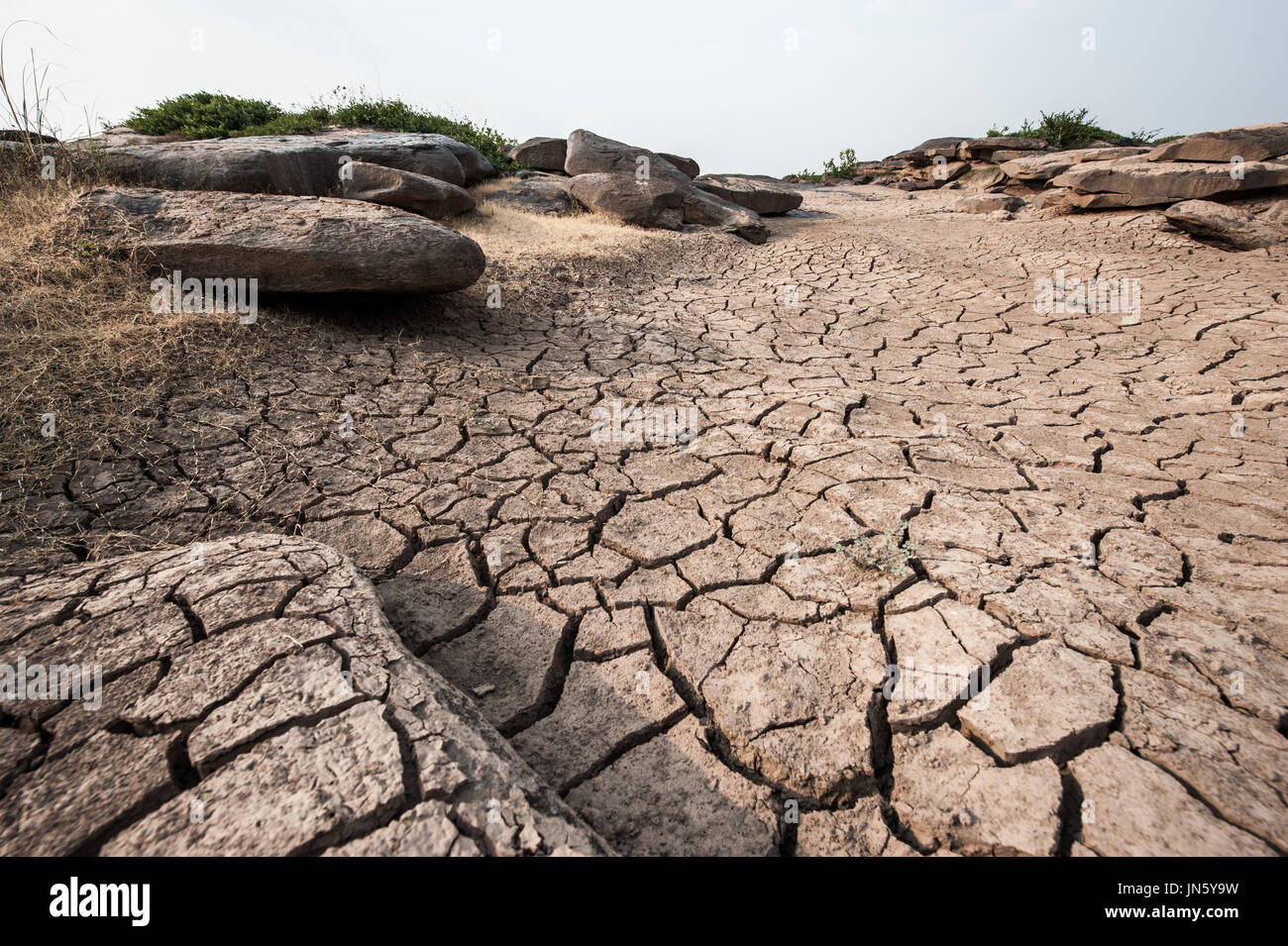 Golden soil hi-res stock photography and images - Alamy