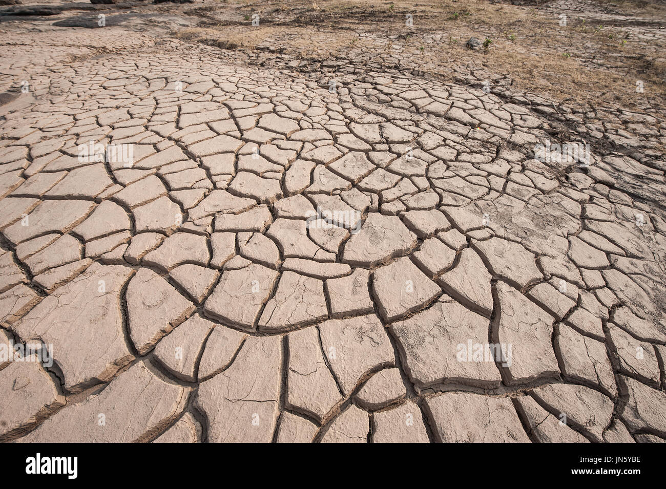 Golden crack earth, dry ground surface, gold brown clay soil texture ...