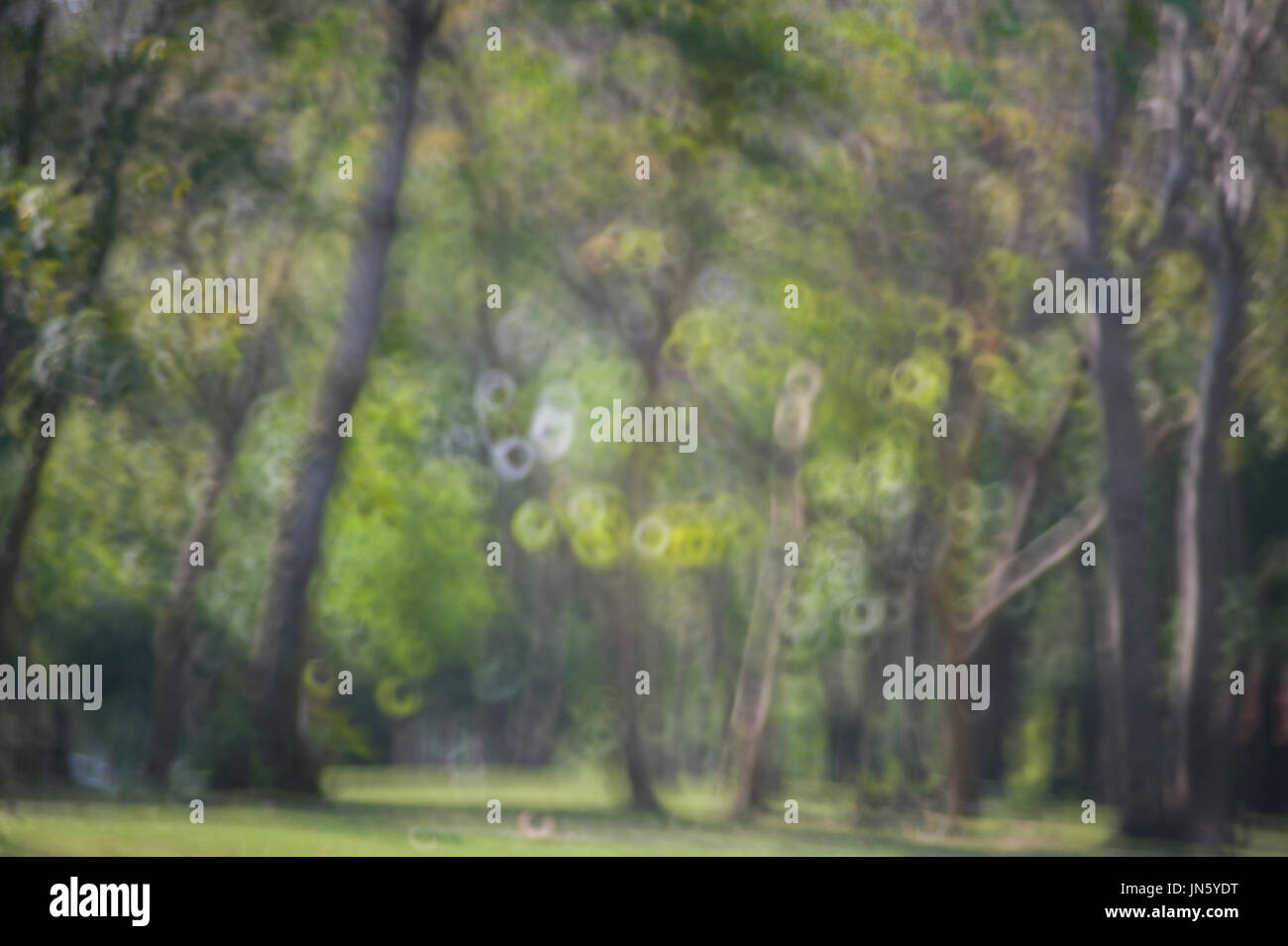 Bokeh donut hi-res stock photography and images - Alamy