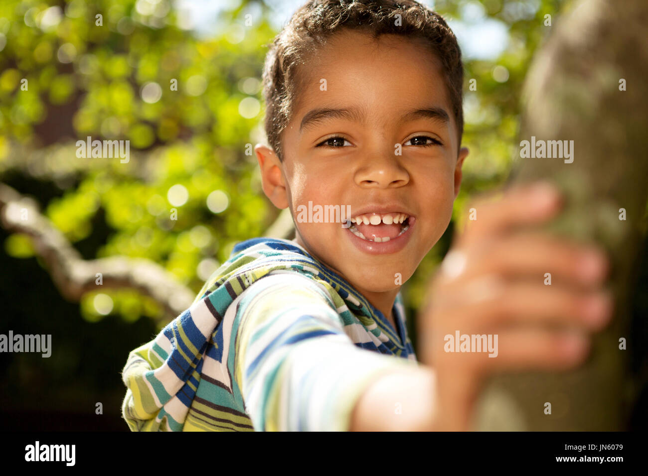 Little boy playing in a tree Stock Photo - Alamy