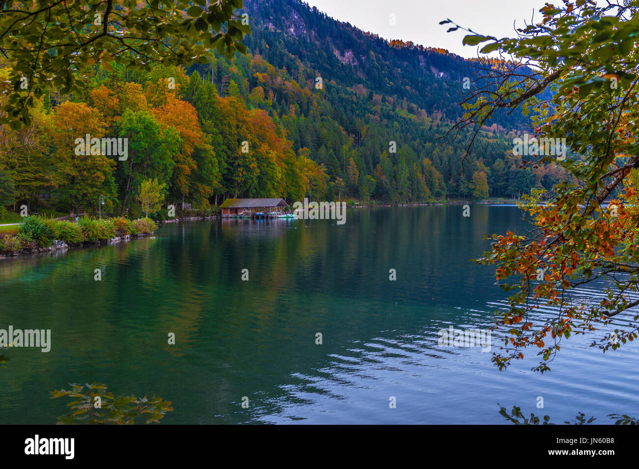 Fall foliage bavaria hi-res stock photography and images - Alamy