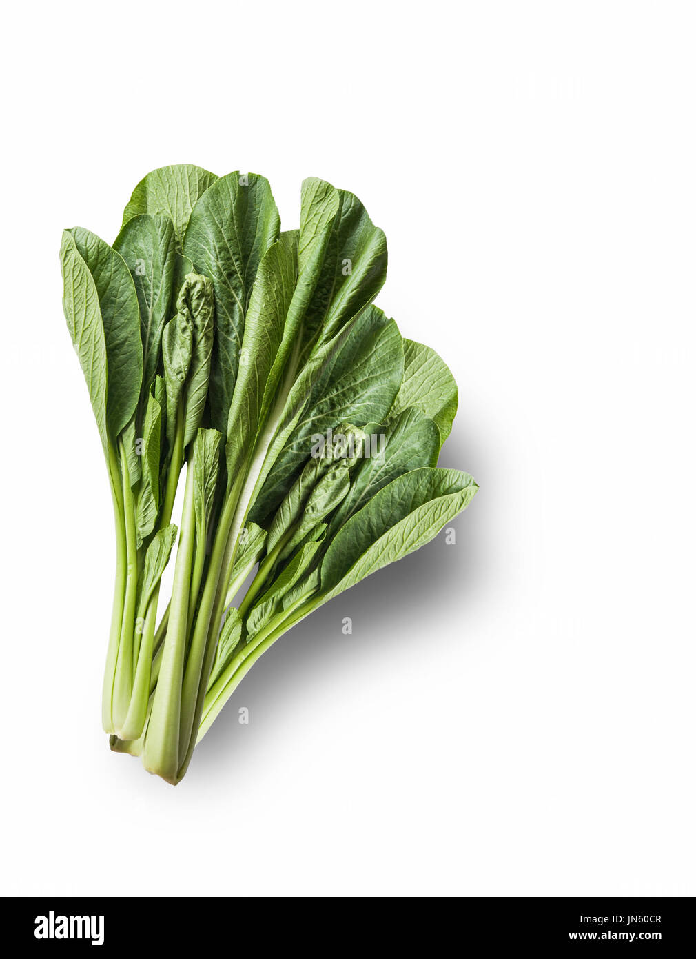 Chinese Cabbage isolated on white background Stock Photo - Alamy