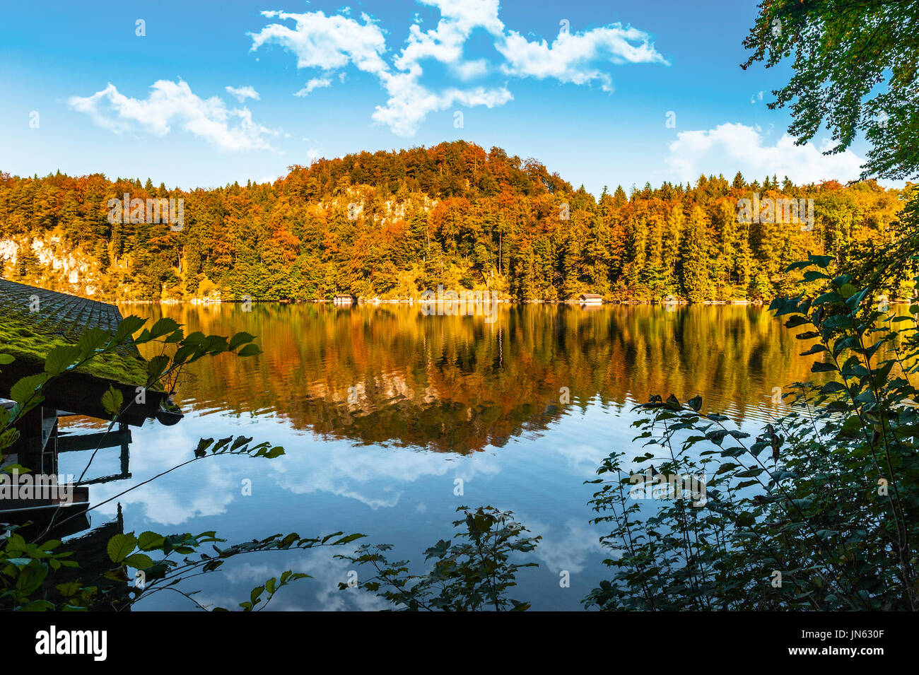 Fall foliage bavaria hi-res stock photography and images - Alamy