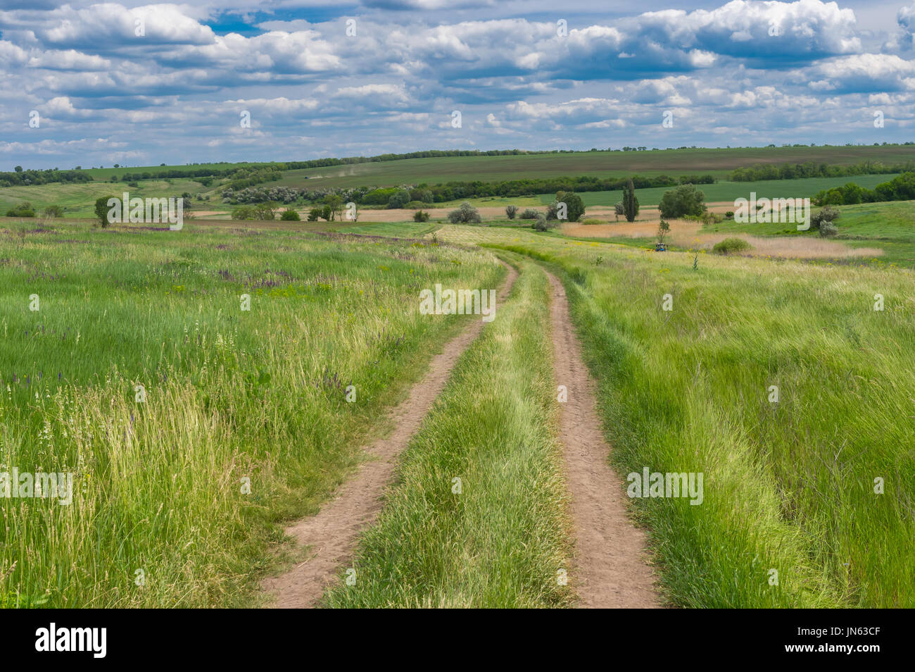 Earth road through fresh summer meadow near Dnipro city in central ...