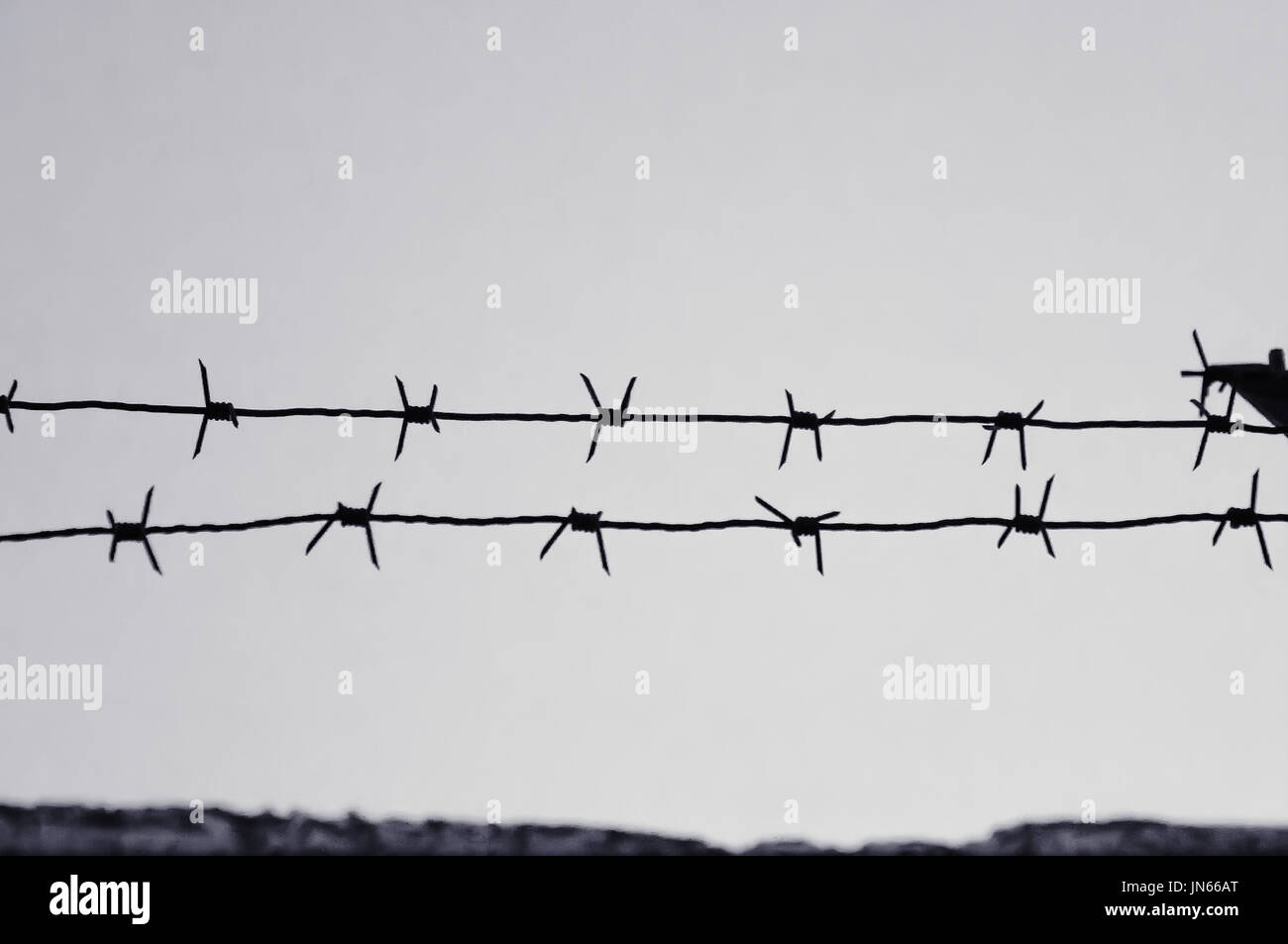 dangerous barbed wire to demarcate the prison camp black and white ...