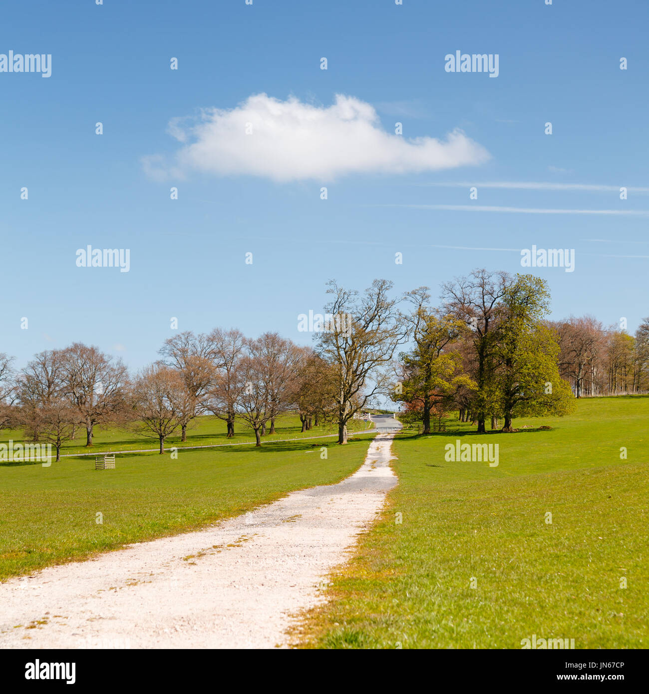 Country Pathway. A pathway leading through English countryside Stock ...