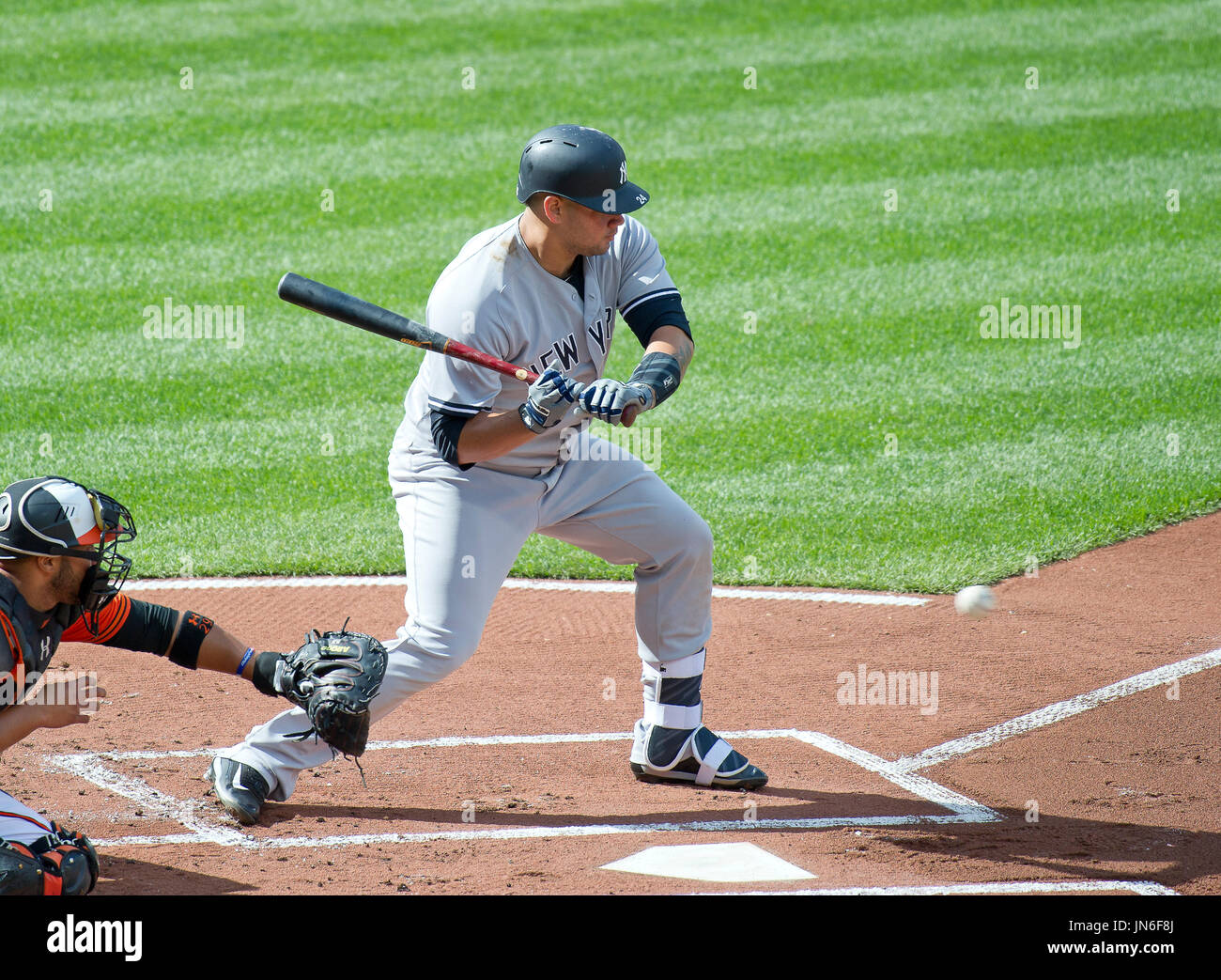 New York Yankees catcher Gary Sanchez (24) bats in the first inning ...