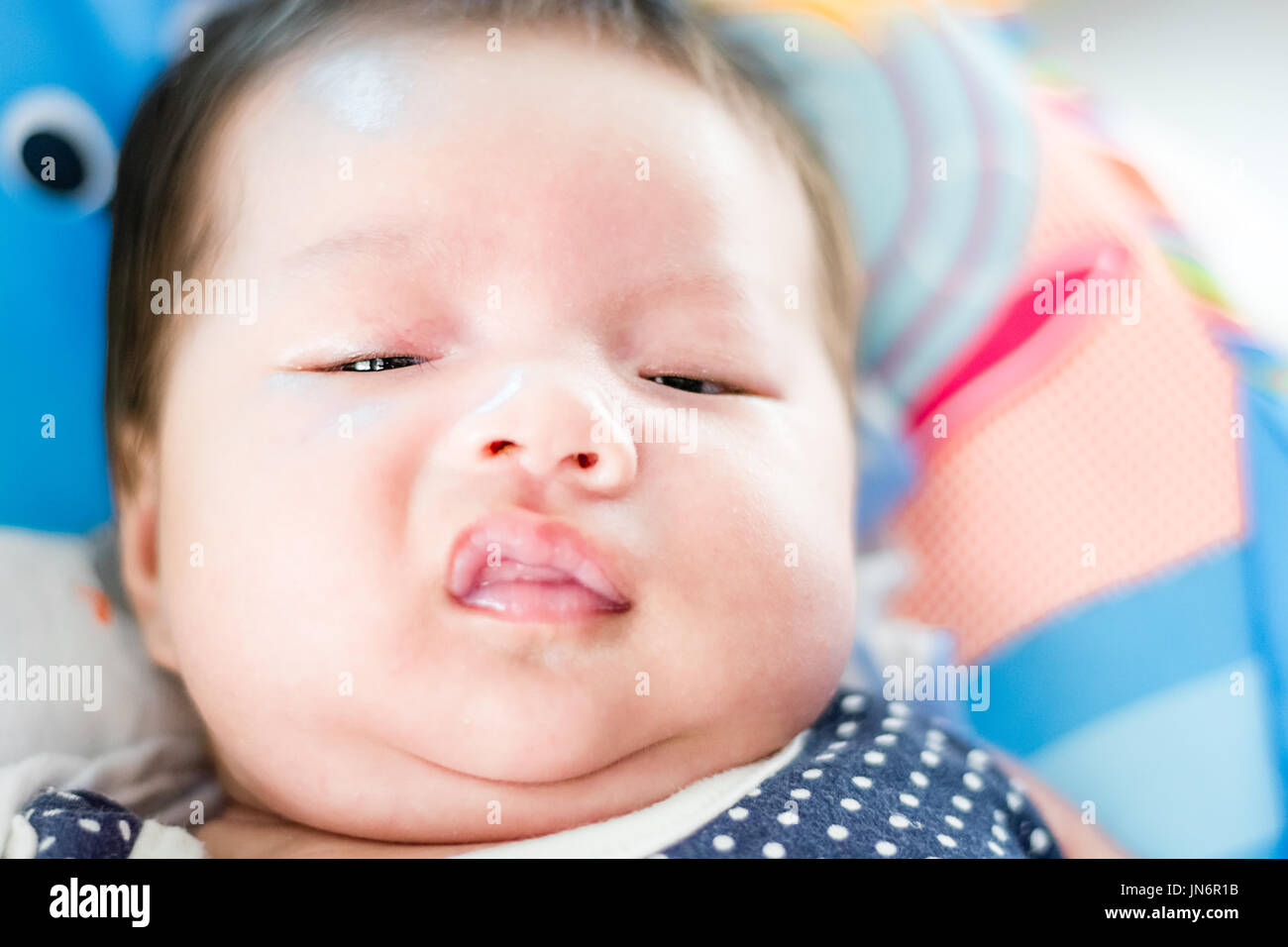 Portrait of a little adorable infant baby girl lying on the back on the ...