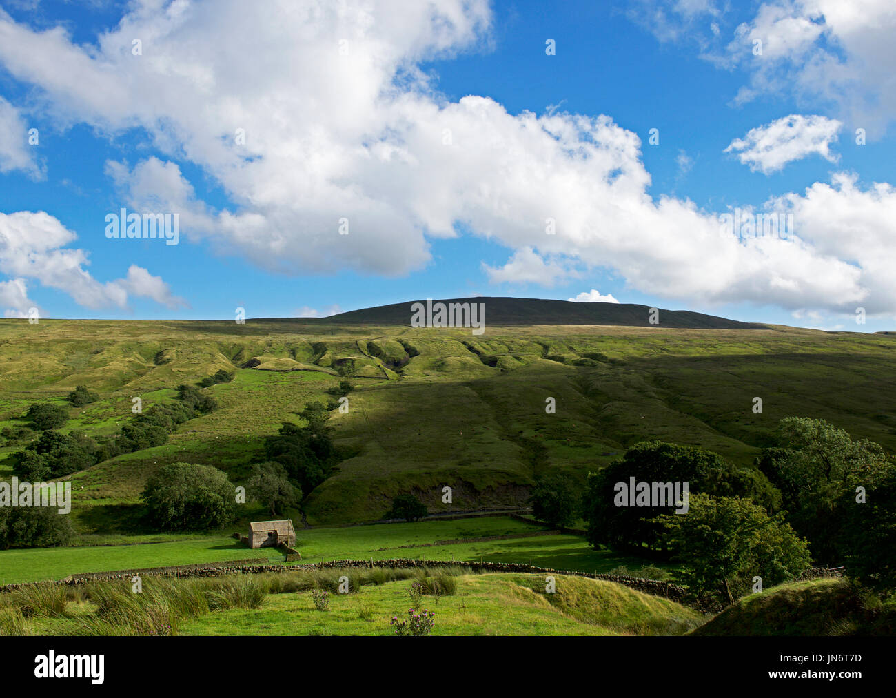 Coverdale High Resolution Stock Photography and Images - Alamy