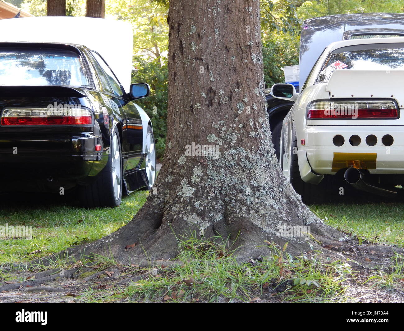 Car Accident Tree High Resolution Stock Photography and Images - Alamy