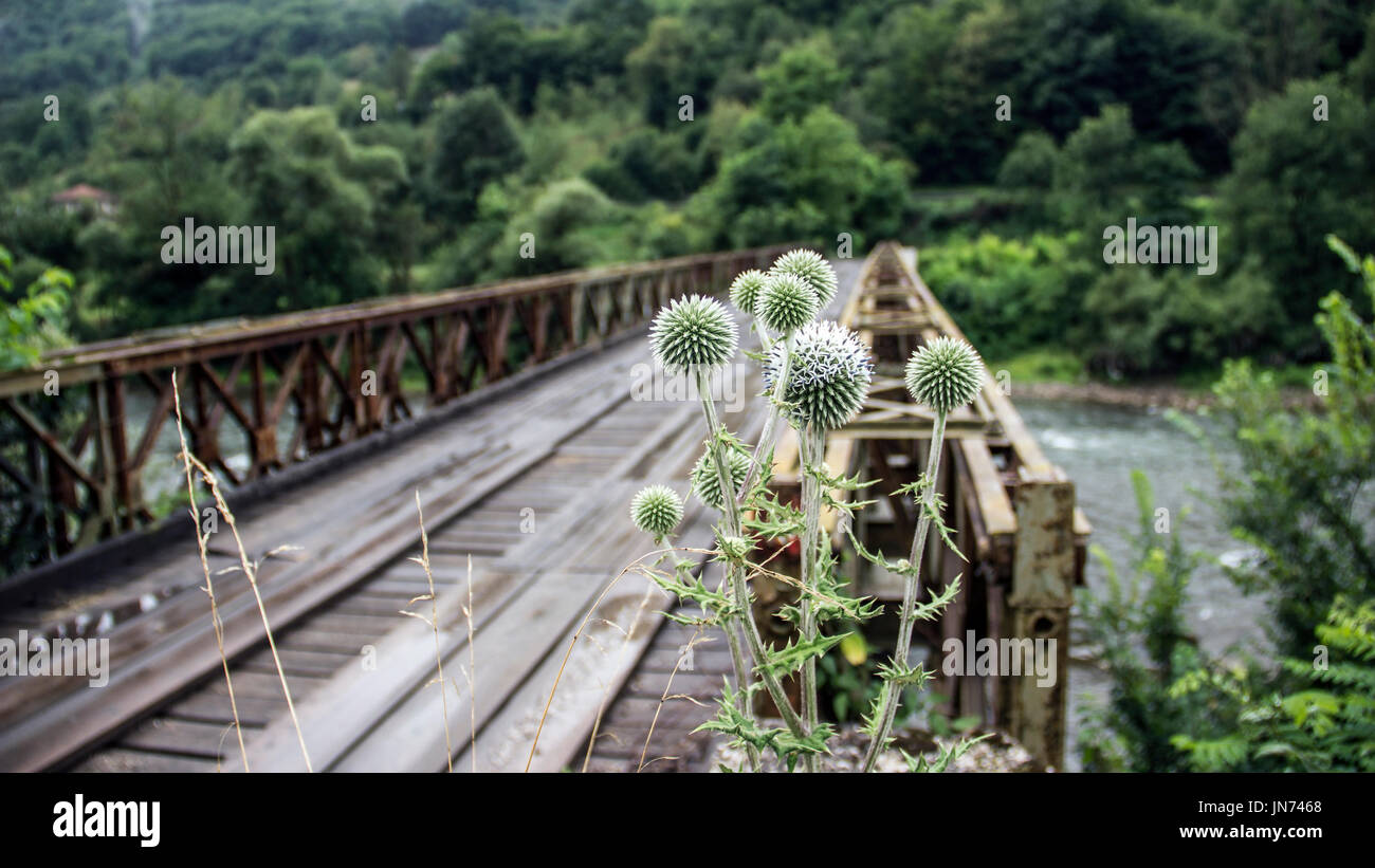 Old wooden footbridge crossing river hi-res stock photography and ...