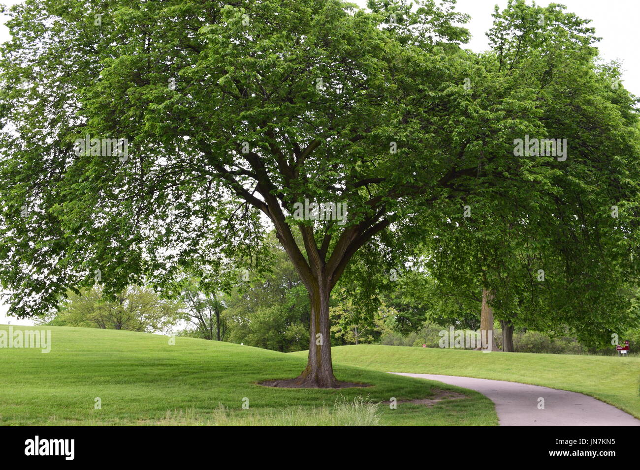 Outside trees hi-res stock photography and images - Alamy