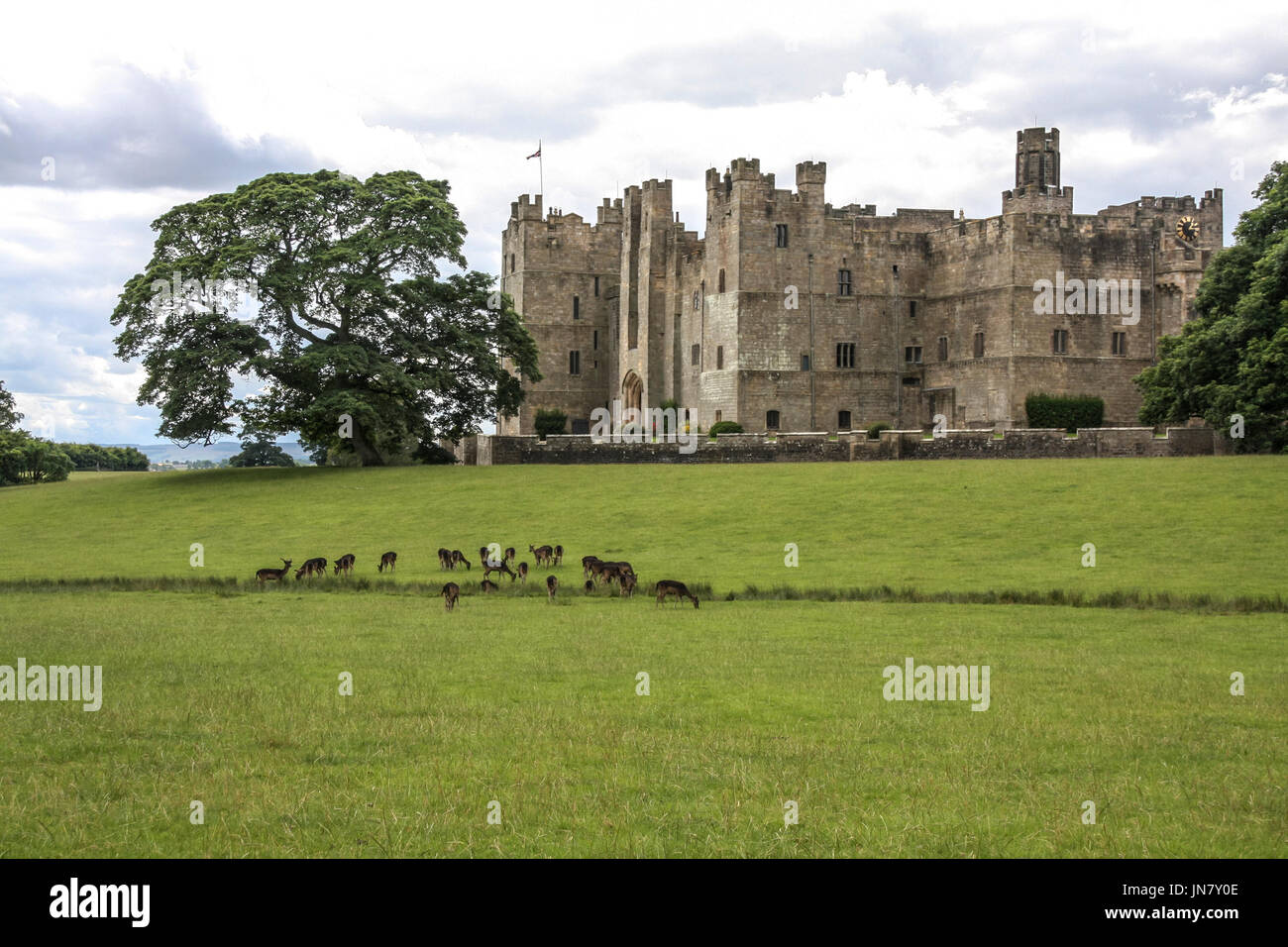 Raby castle stock hi-res stock photography and images - Alamy