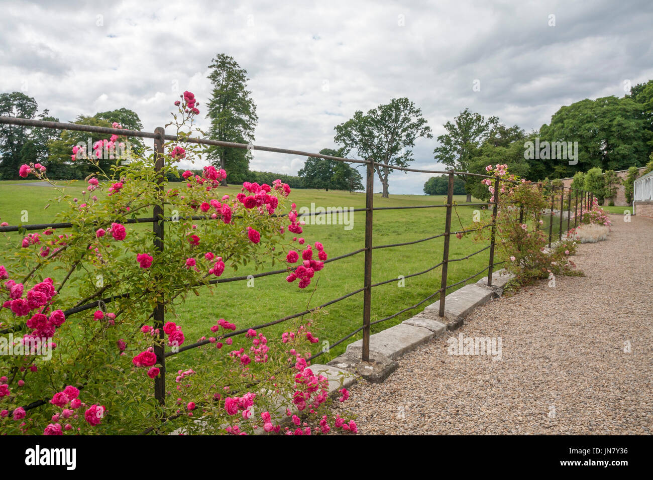A colourful flowered path at Raby Castle,Staindrop,Darlington,England ...