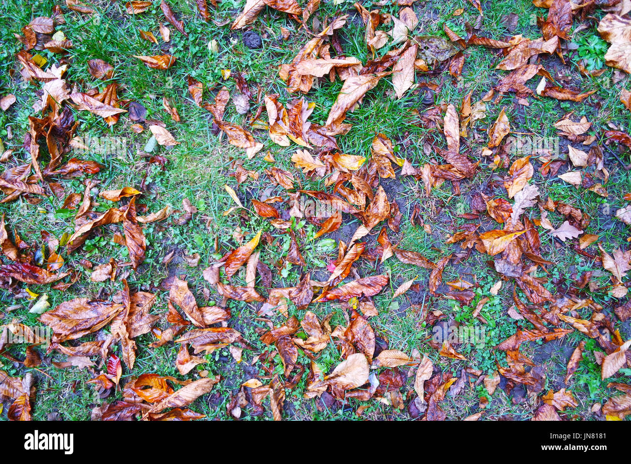 Random pictures hi-res stock photography and images - Alamy