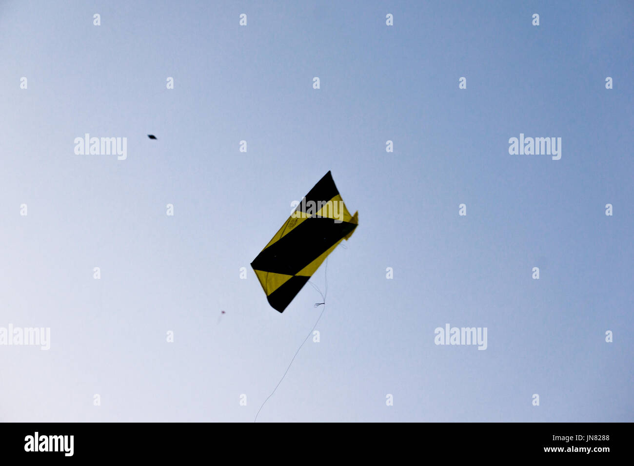 Colorful fighting kites flying against blue sky on the festival of ...