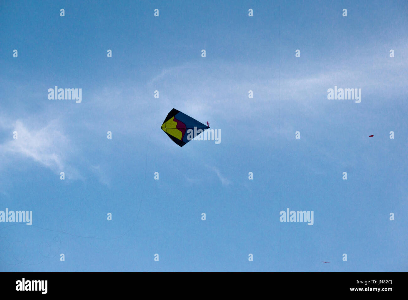Colorful fighting kites flying against blue sky on the festival of ...