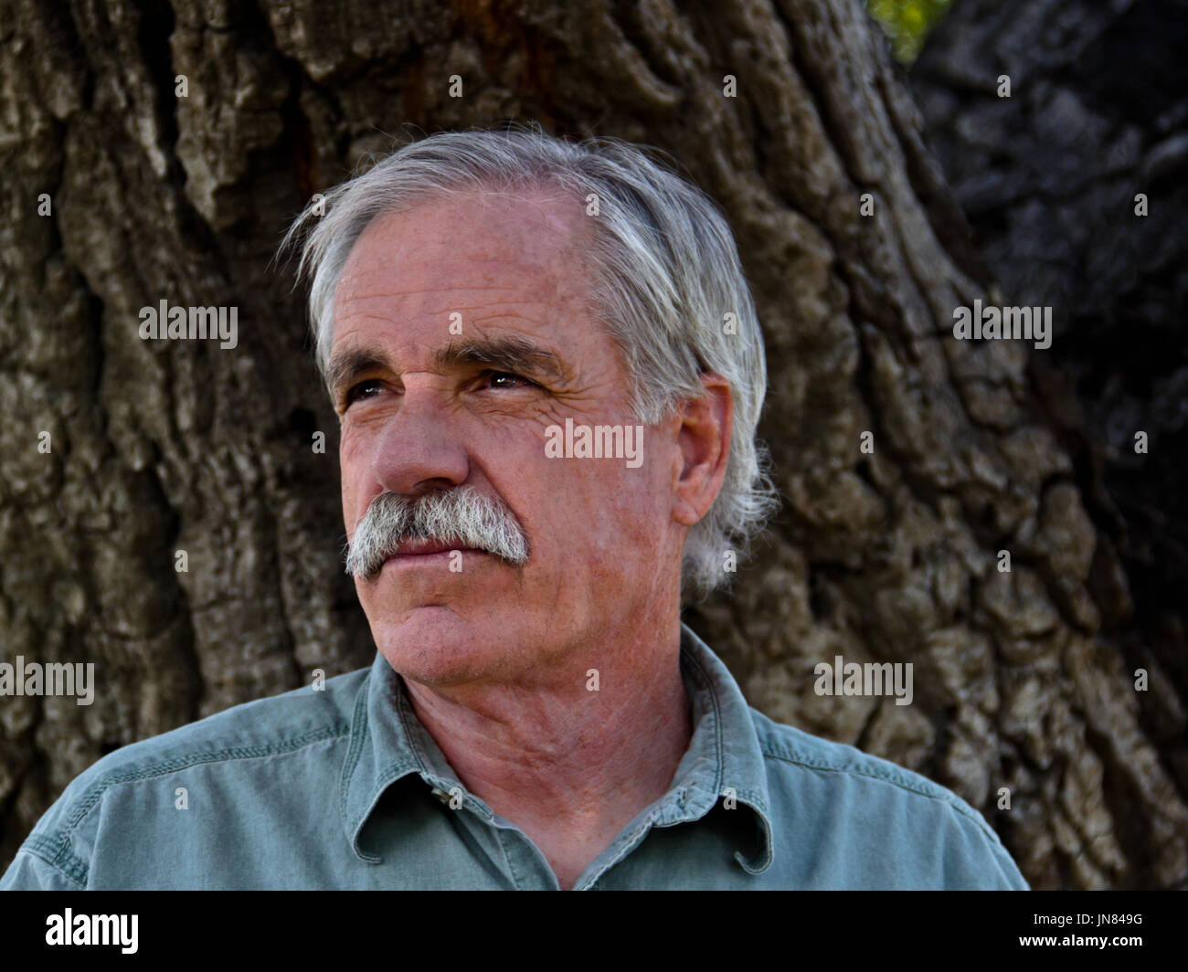 Distinguished gentleman serious expression hi-res stock photography and ...