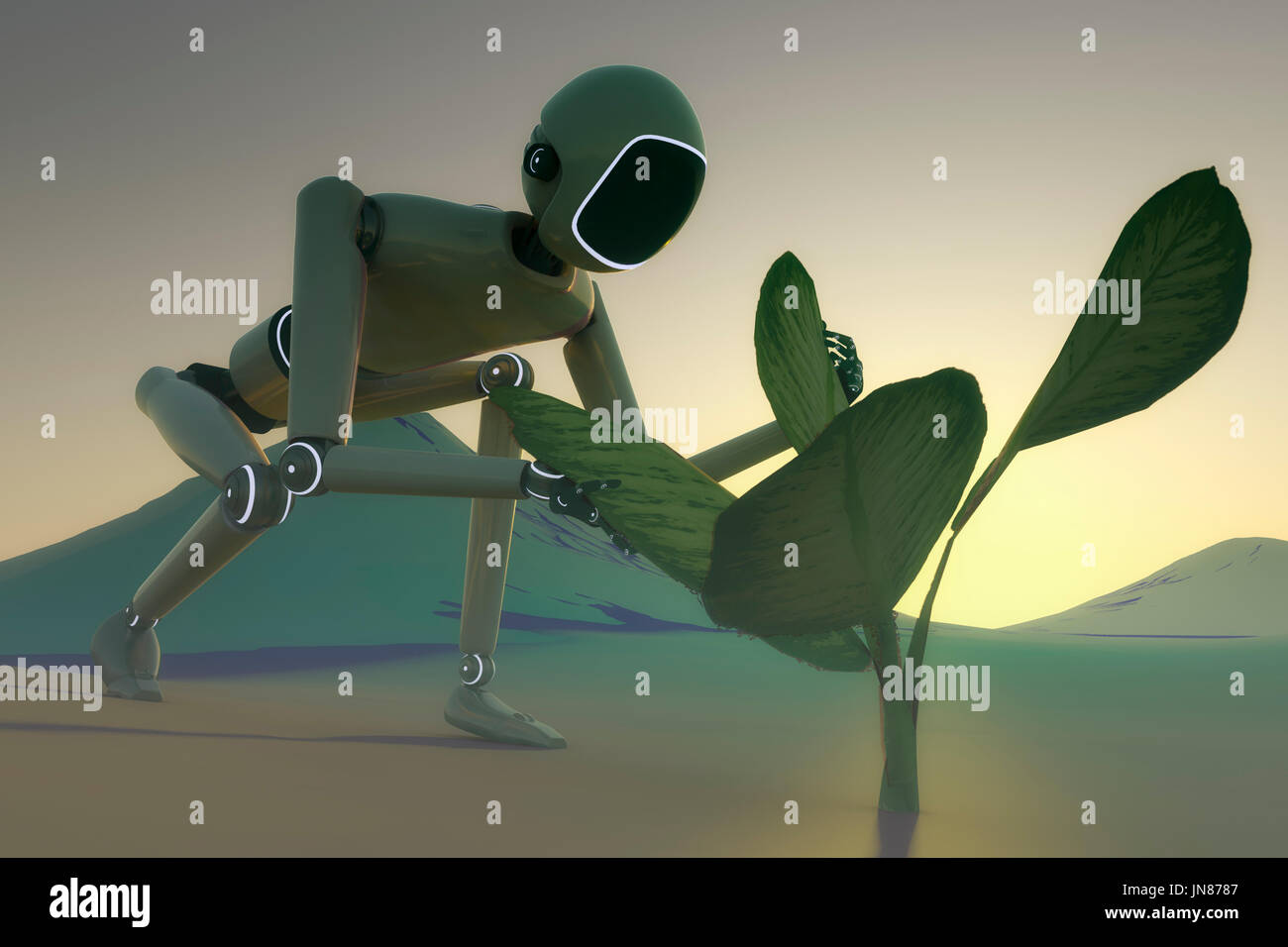 A robot is discovering nature Stock Photo - Alamy