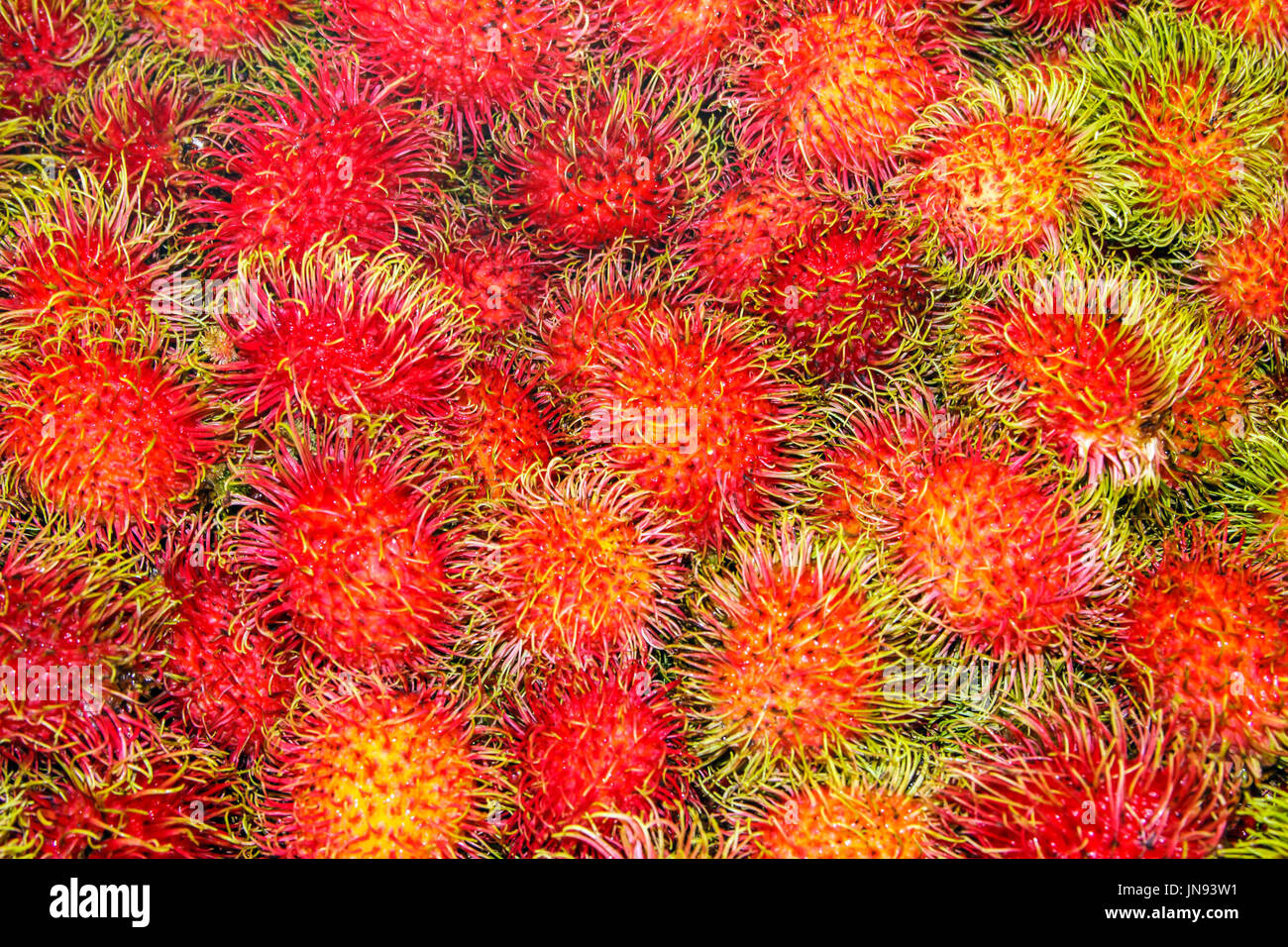 Fresh rambutan fruit hi-res stock photography and images - Alamy