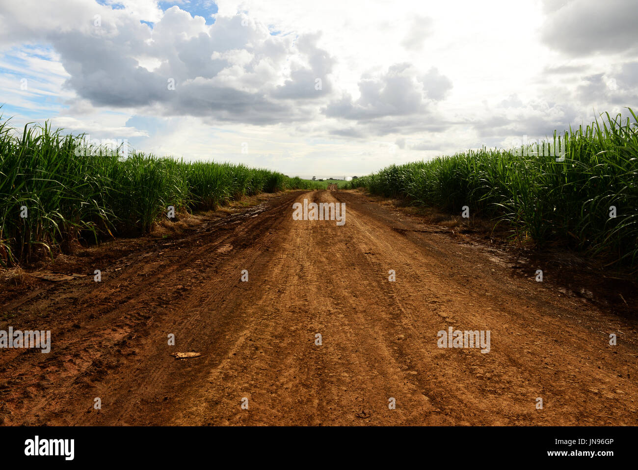 Mauritius and Reunion Stock Photo - Alamy