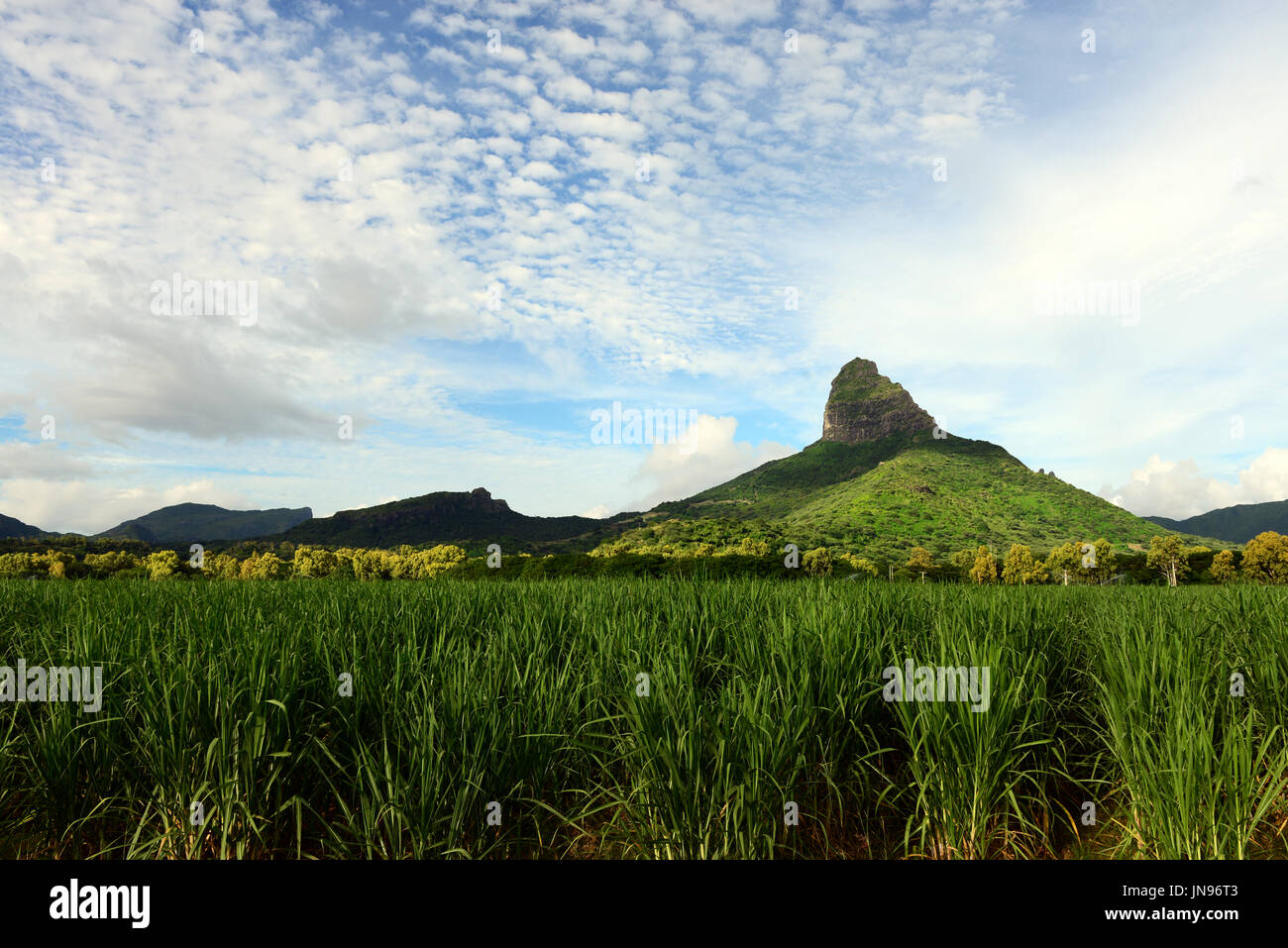 Mauritius and Reunion Stock Photo - Alamy